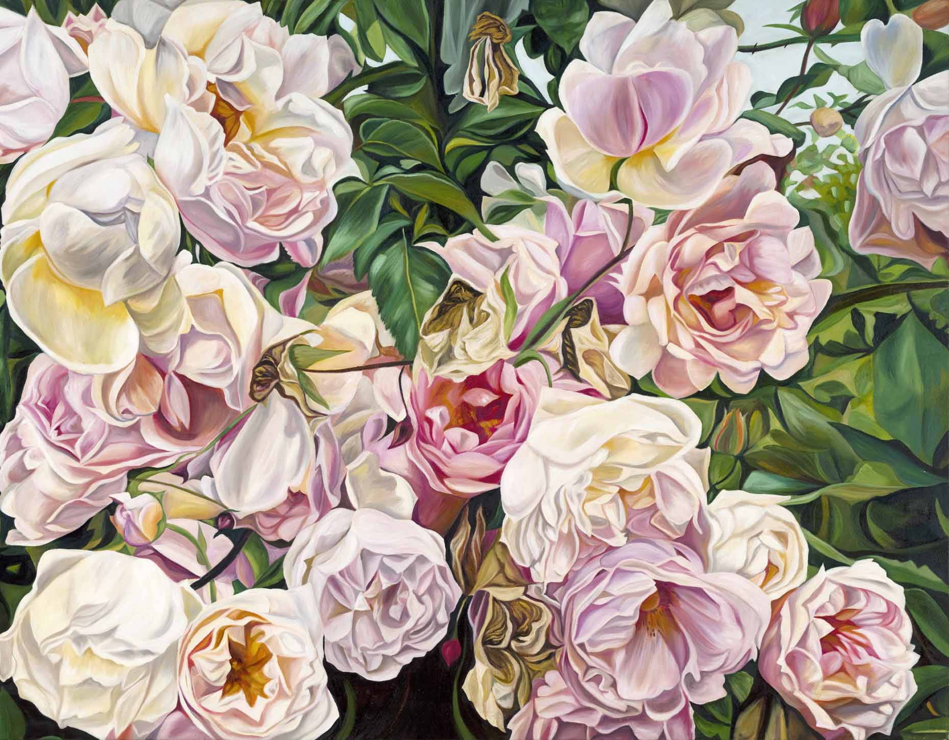 Blooms Limited Edition Prints - Arts Creative Hub