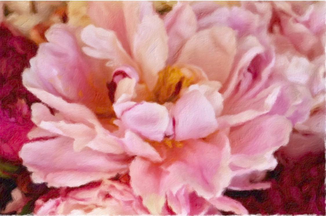 Paint Blooms USA – Arts Creative Hub